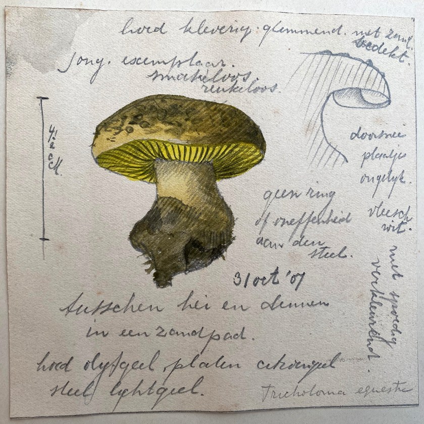 Jeugdwerk Jan Voerman Jr. – Geschiedenis van de families Voerman ...