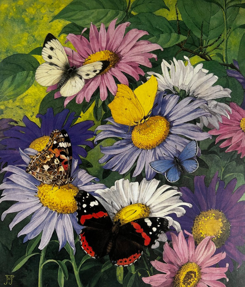 Vlinders van Jan Voerman Jr. voor Verkade – Geschiedenis van de ...